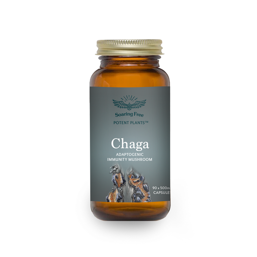 Organic Chaga (Powder & Capsules) | Soaring Free