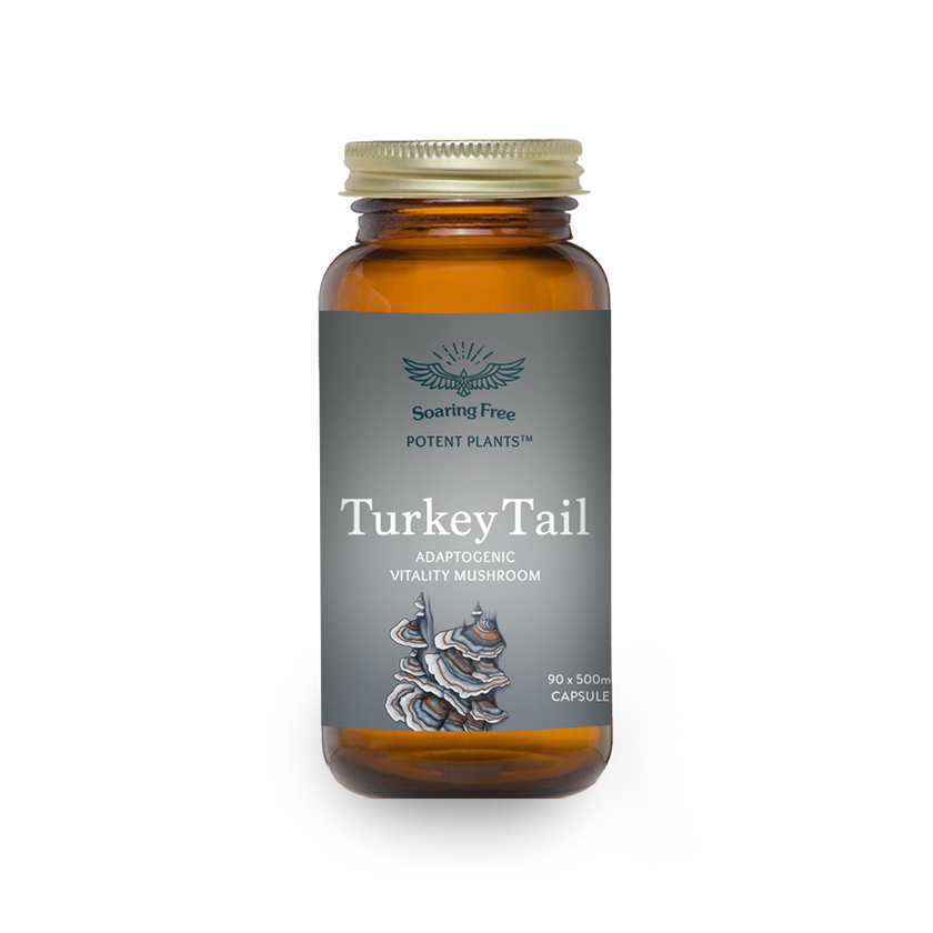 Buy Organic Turkey Tail Mushroom Supplements • Soaring Free | Soaring Free