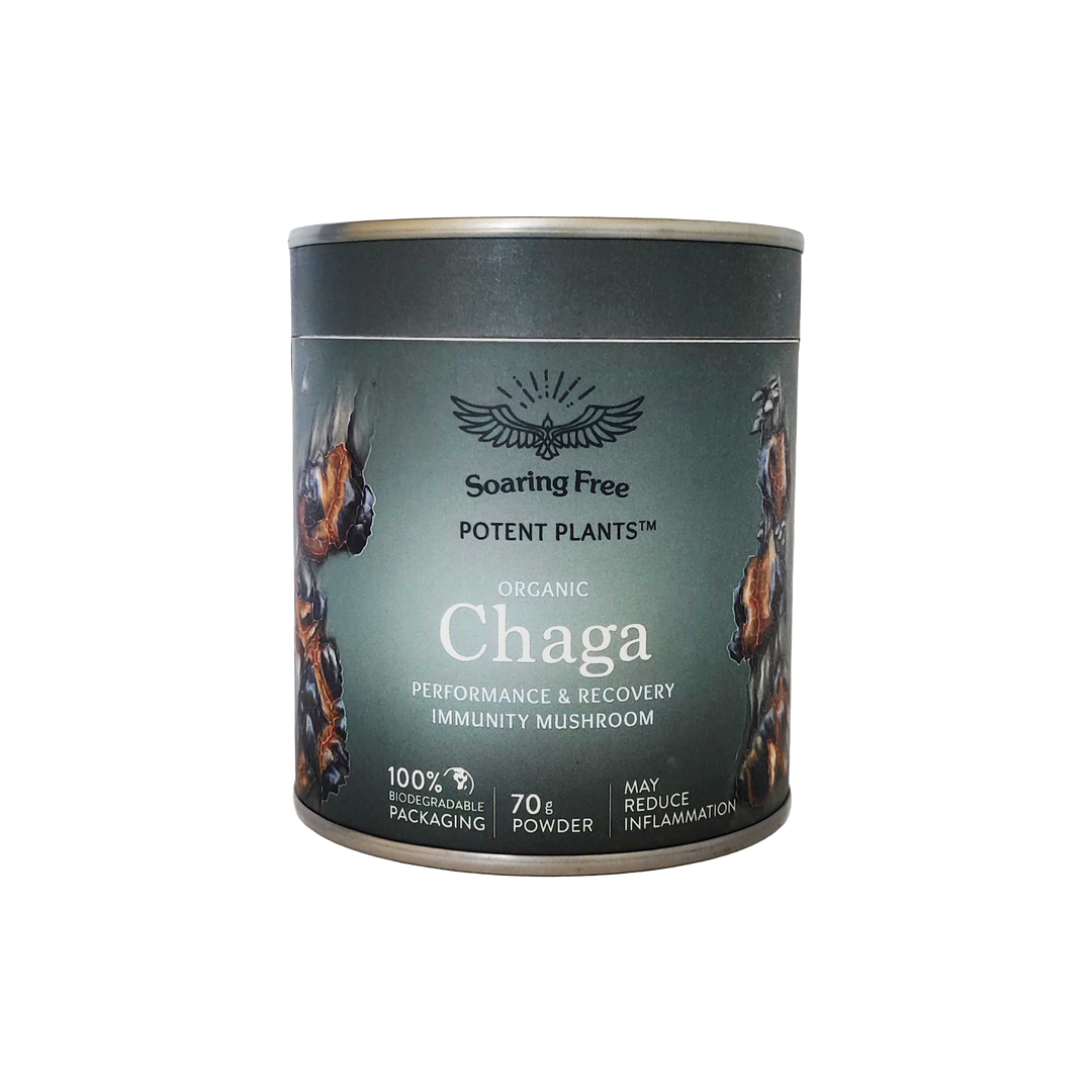 Organic Chaga (Powder & Capsules) | Soaring Free