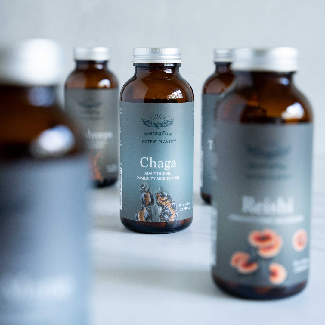 Functional Mushrooms | Buy Mushroom Supplements | Soaring Free